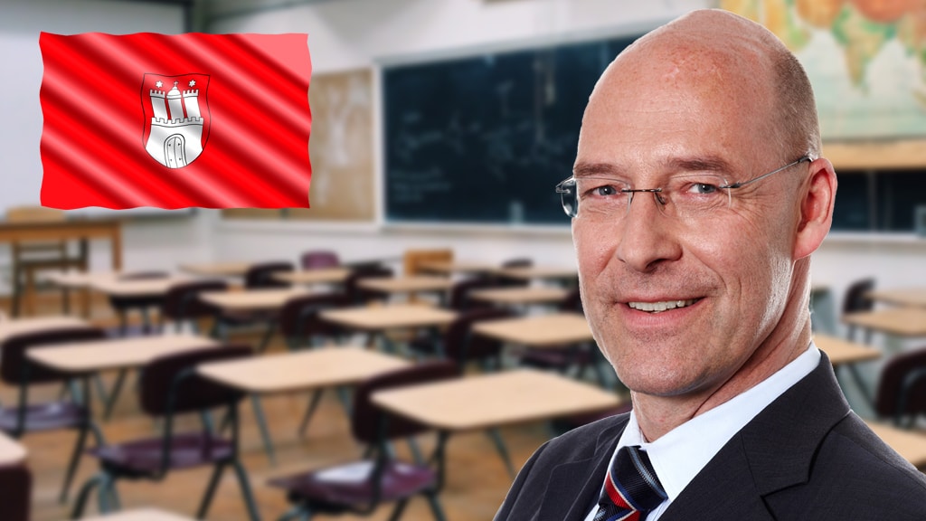 Wolf_Alexander_FotoAfD_Schule_Hamburg_Pixabay_Wokandapix_RonnyK | AfD ...