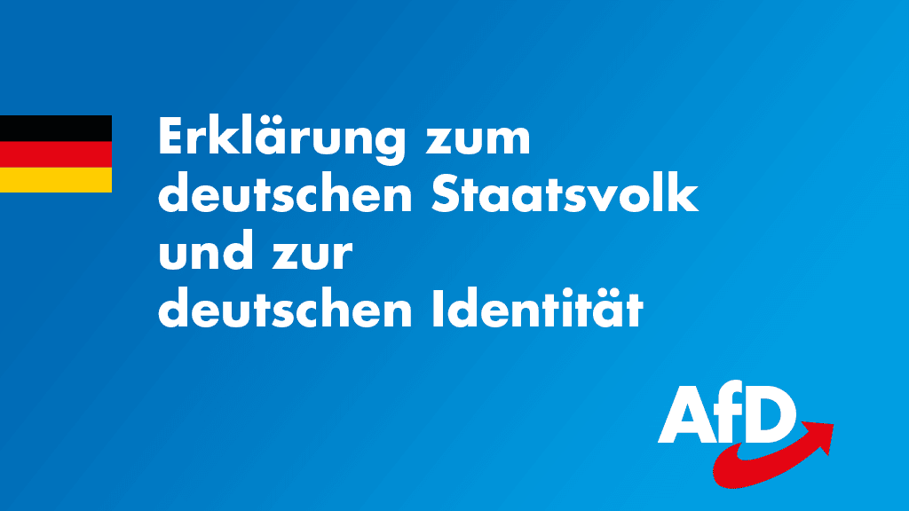 Erklärung der Alternative für Deutschland | AfD Kompakt