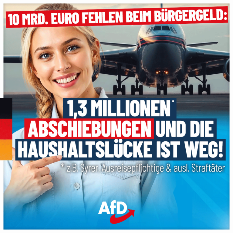 AfD Kompakt