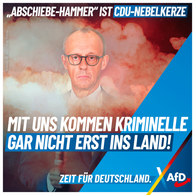 AfD Kompakt