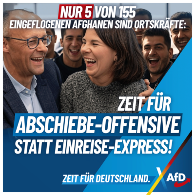 AfD Kompakt